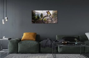 Obraz na skle Cloud na horském kole 100x50 cm