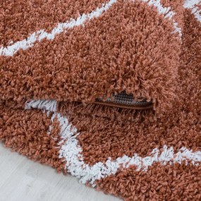 Vopi | Kusový koberec Alvor shaggy 3401 terra - 80 x 250 cm