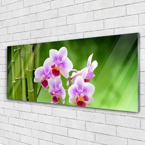 Plexisklo-obraz Bambus Orchidej Květiny Zen 125x50 cm