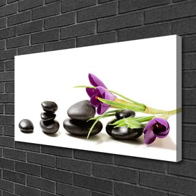 Obraz na plátně Květ Kameny Umění 120x60 cm
