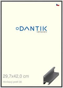 DANTIK rámeček 29,7x42 | ALU profil 6030 Dýha barevná šedá tmavá (Plexi Čiré)