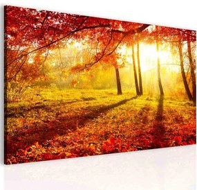 Malvis ® Obraz podzimní záře Velikost (šířka x výška): 30x20 cm