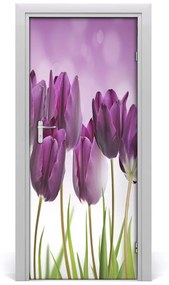 Fototapeta samolepící Fialové tulipány 75x205 cm