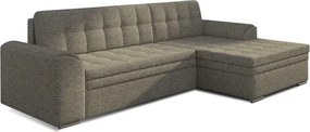 Conforti