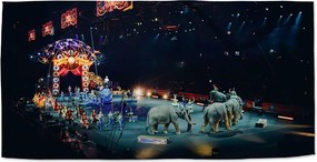Sablio Ručník Cirkus - 70x140 cm