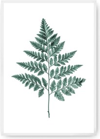 Plakát Fern Emerald Green