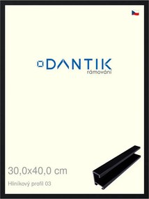 DANTIK rámeček 30x40 | ALU profil 7003 Černá Florentinská (Plexi Čiré)