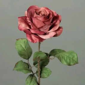 Ego Dekor Květina Růže, růžová-tmavá, 62cm