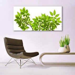 Plexisklo-obraz Větev Listy Rostlina Příroda 120x60 cm