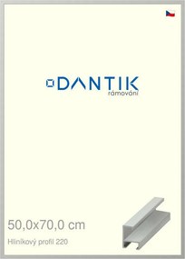 DANTIK rámeček 50x70 | ALU profil 6220 Stříbrná matná (Plexi Čiré)