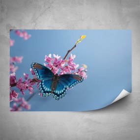 Plakát - Motýl na květině (60x40 cm) - PopyDesign