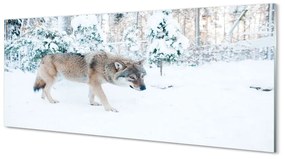 akrylový obraz Vlk v zimě lese 120x60 cm
