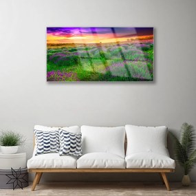 akrylový obraz Louka Příroda 100x50 cm