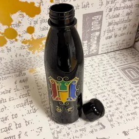 Blue Sky Studios Láhev Harry Potter / Láhev / 650 ml