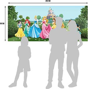 Dětská vliesová fototapeta na zed' Princezny, Disney | 202 x 90 cm | DFTDNH 5325