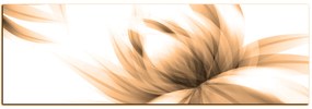 Obraz na plátně - Elegantní květ - panoráma 5147FA (105x35 cm)