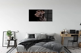 Obraz na skle hnědý pes 140x70 cm
