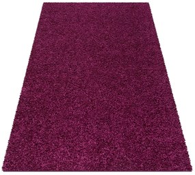 Nádherný fialový koberec Shaggy Šířka: 140 cm | Délka: 190 cm