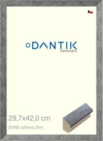 DANTIK rámeček 29,7x42 | DUNE stříbrná (Plexi Čiré)