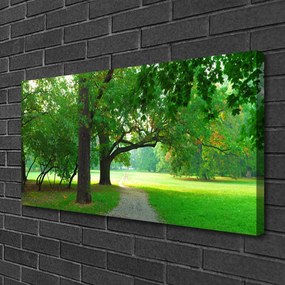 Obraz na plátně Stezka Stromy Příroda 100x50 cm