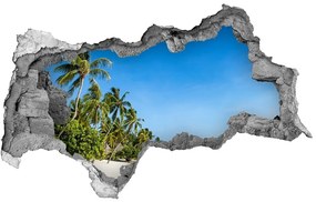 Wallmuralia Díra 3D ve zdi nálepka Pláš Karibské ostrovy 95x73 cm