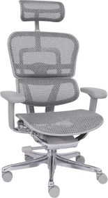 Kancelářská židle Ergohuman 2 Elite ST GS grey