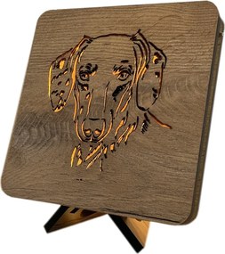 Li-Go "Jezevčík krátkosrstý" lampa 19x19 cm provedení povrchu: dub