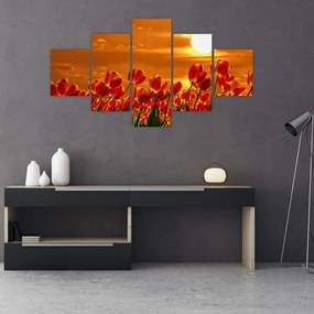 Obraz rozkvetlého lánu s tulipány (125x70 cm)