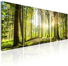 Obraz lesní záře + háčky a hřebíčky ZDARMA Velikost (šířka x výška): 150x60 cm