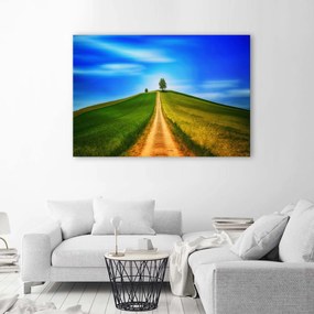 Gario Obraz na plátně Cesta na kopec Rozměry: 60 x 40 cm