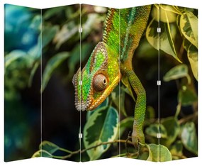 Paraván - Chameleon (210x170 cm)
