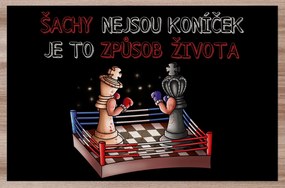 Prostírání Šachy a život
