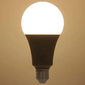 RETLUX RLL 662 A80 E27 bulb 20W / 2700 lm / 3000K - teplá bílá / D