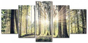 Atypický obraz lesní svět II + háčky a hřebíčky ZDARMA Velikost (šířka x výška): 100x50 cm