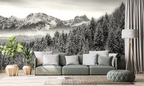Tapeta zmrzlý les - 450x300 cm