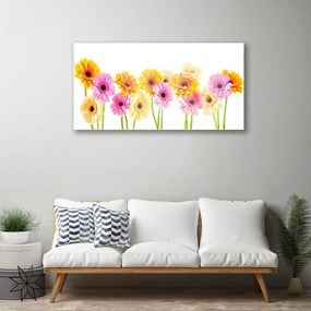 Obraz na skle Barevné Květiny Gerbery 100x50 cm