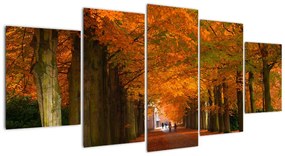 Obraz - cesty lesem na podzim