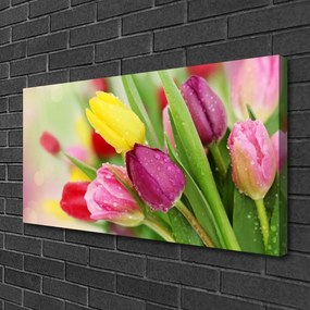 Obraz na plátně Tulipány Květiny Rostlina 100x50 cm