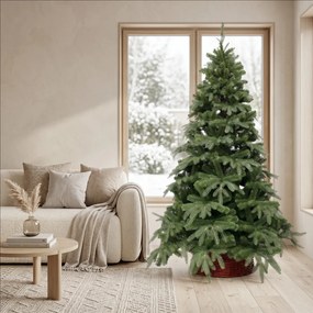 Jedle Přírodní 150 cm