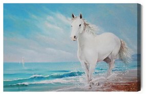 Obraz Bílý Kůň Na Pobřeží Nedostatek Nedostatek Přírodní plátno 100x70
