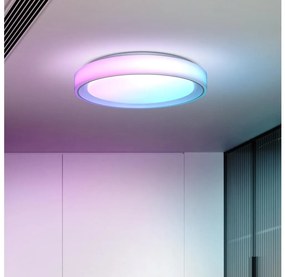 Solight WO8015 - LED RGB Stm. str. svítidlo FLOCO LED/30W/230V+RGB/6W+DO pr.40cm WO8015