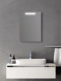 Zrcadlo do koupelny s LED pruhem - 50 x 70 cm - Luna