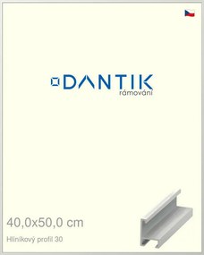 DANTIK rámeček 40x50 | ALU profil 6030 Bílá matná (Sklo Čiré)