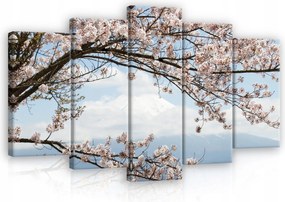 Obraz 100x60 Kvetoucí Sakura Hora Fudži Japonsko jaro krajina příroda klid