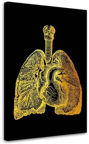 Gario Obraz na plátně Zlatá anatomie, plíce a srdce - Gab Fernando Rozměry: 40 x 60 cm