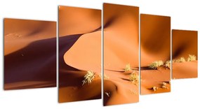 Obraz pouštích dun