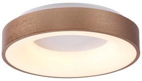 Rabalux 5052 - LED Stropní svítidlo CARMELA LED/30W/230V