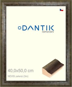 DANTIK rámeček 40x50 | NEVISzelená (Sklo Čiré)
