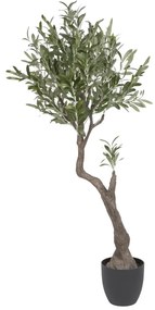 OnaDnes -20% Umělá květina Kave Home Olive 140 cm
