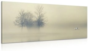 Obraz stromy v mlze - 120x60 cm